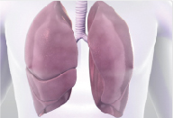 Clinical Results | Erivedge® (vismodegib)